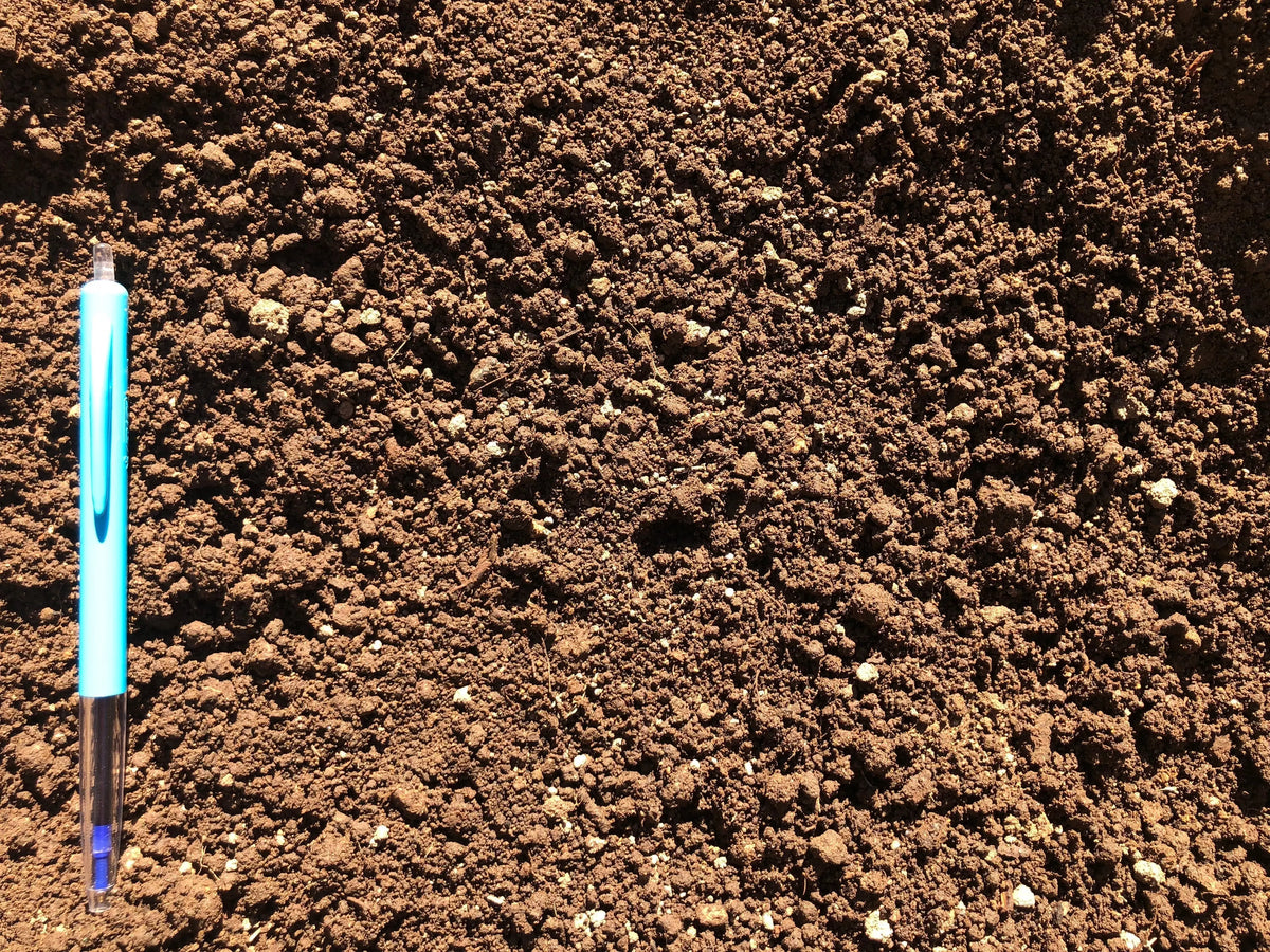 Screened Topsoil – Florida Ltd